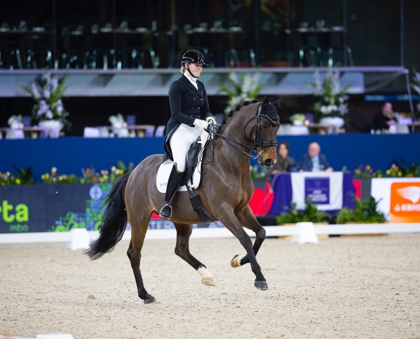 Jumping Amsterdam – Equestrian show